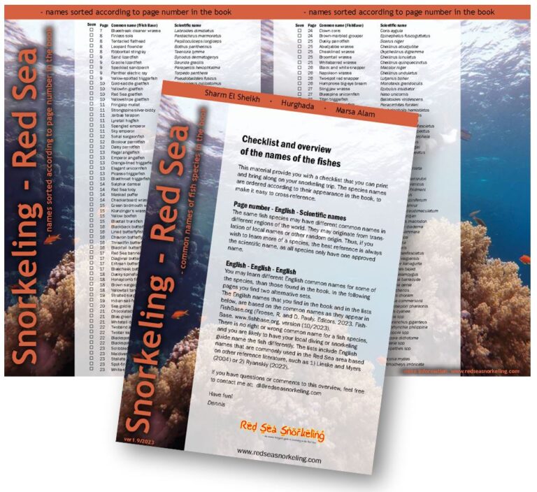 Free Checklist: 115+ Red Sea Fish Download our printable species ...